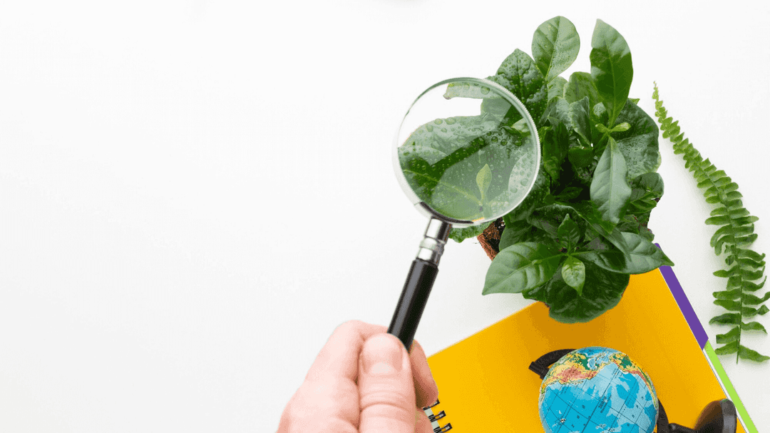 Environmental Compliance: What You Need to Know | Ascot International